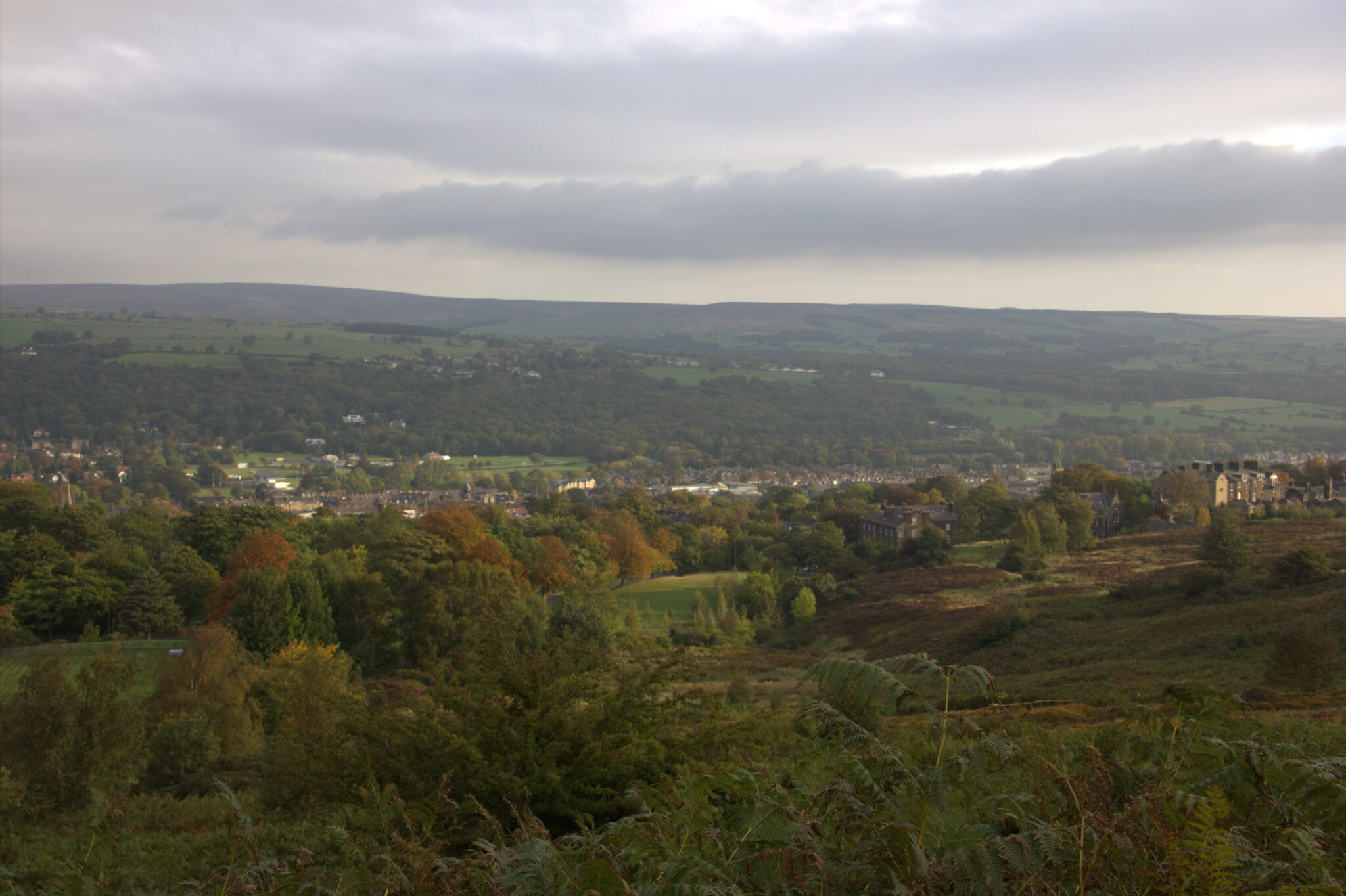 About - Graham Lewis Consulting